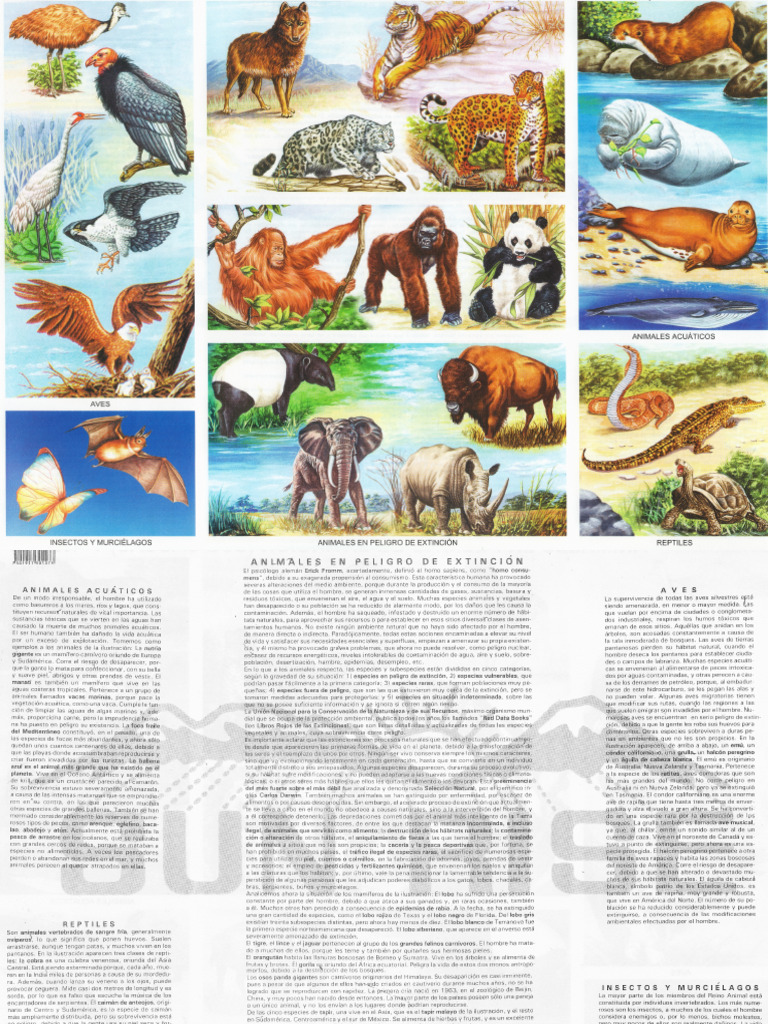 Animales en Peligro de Extincion 1 | PDF