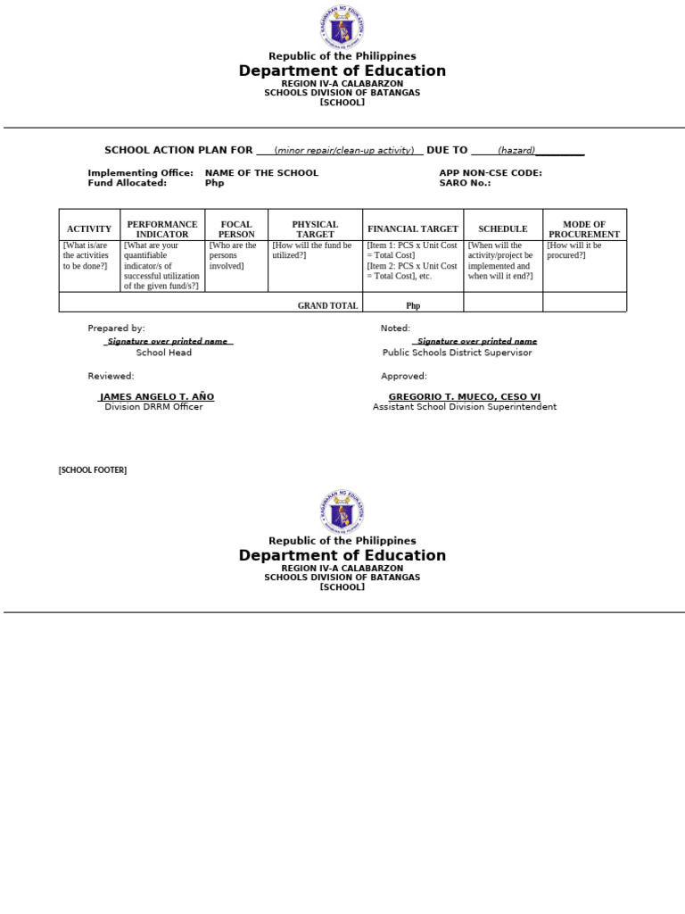 DRRM Action-Plan Template | PDF