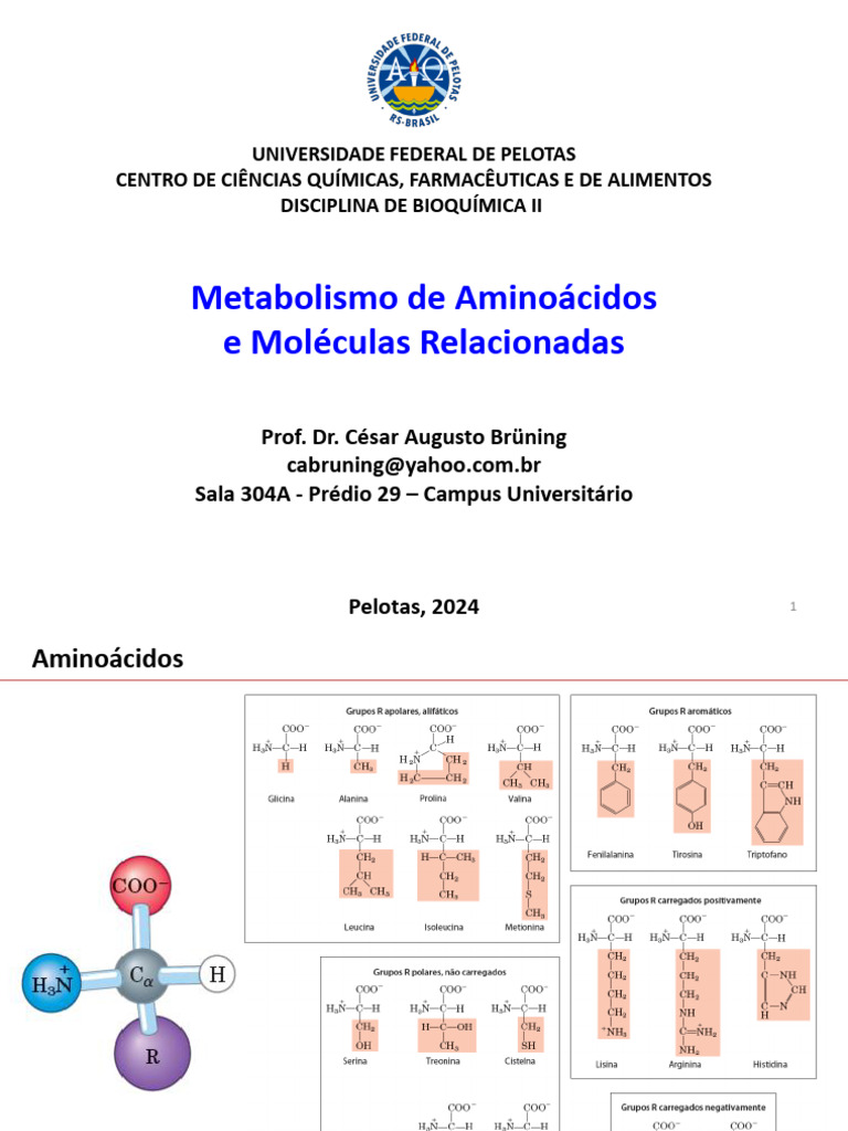 Metabolismo de Aminoã¡cidos e Molã©culas Relacionadas | PDF ...
