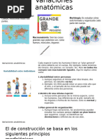 Variantes Anatómicas | PDF | Especialidades Medicas | Medicina CLINICA