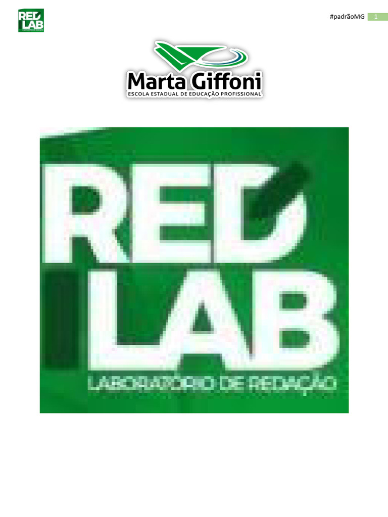 Estruturas Redlab 2024- Atualizadas | PDF | Sociologia | Estado