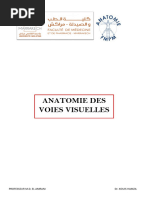 ANATOMIE DU TRACTUS OPTIQUE Zio | PDF | Thalamus | Système nerveux