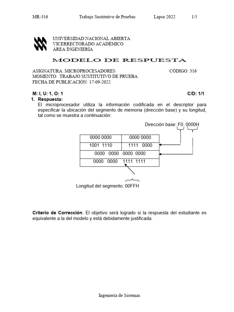 Modelo Resp. Codigo 316 | PDF | Ingeniería Informática | Ingeniería