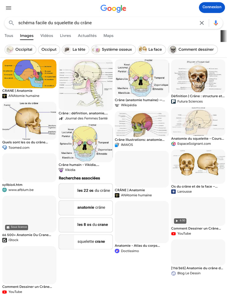 Schémafaciledusqueletteducrâne RechercheGoogle | PDF | Crâne | Squelette