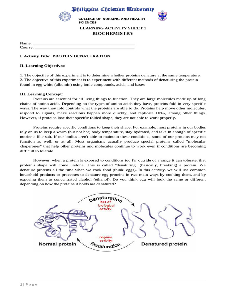 Protein Denaturation Experiment Guide | PDF | Proteins | Denaturation ...