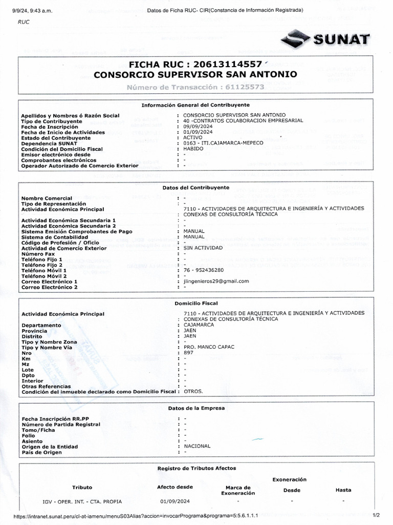 Ficha Ruc Consorcio San Antonio | PDF