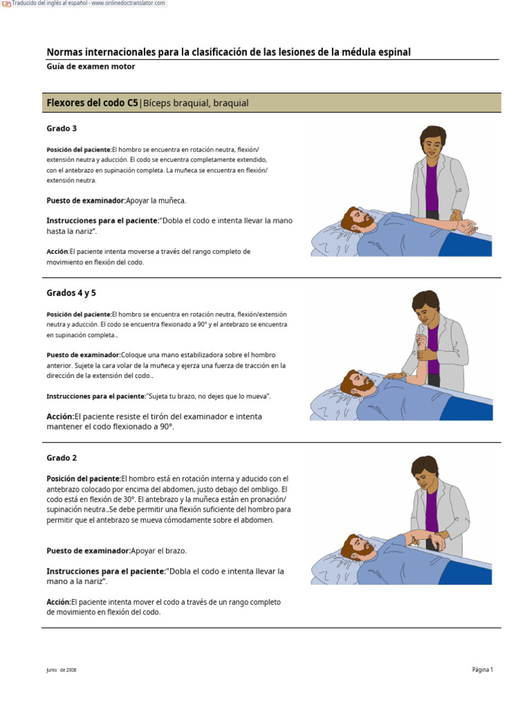Motor Exam Guide-ASIA 2.en - Es | PDF | Codo | Tobillo