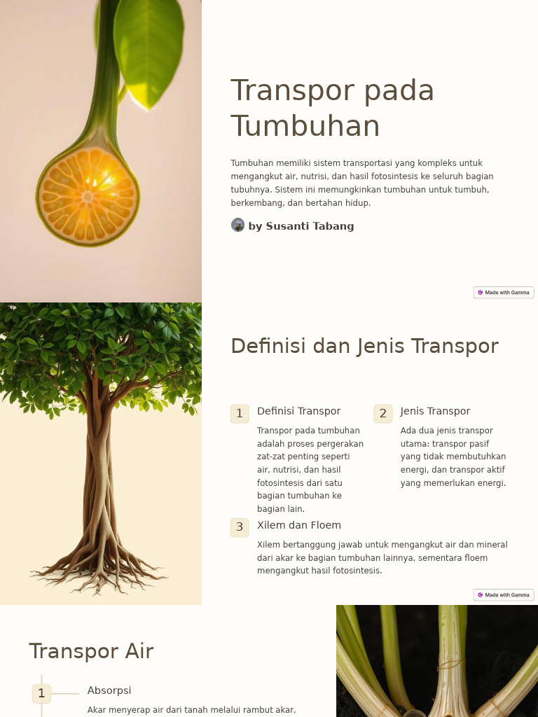 Transpor-pada-Tumbuhan | PDF