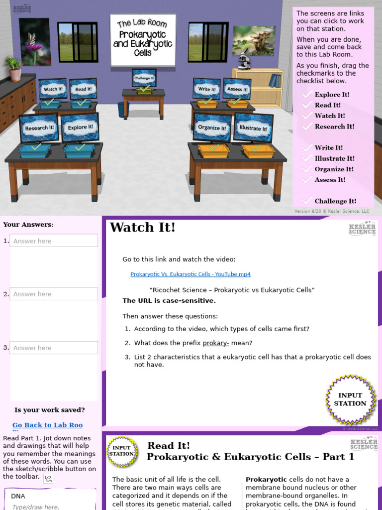 SC.912.L.14.3 - Prokaryotic + Eukaryotic Cells Stations | PDF | Cell ...