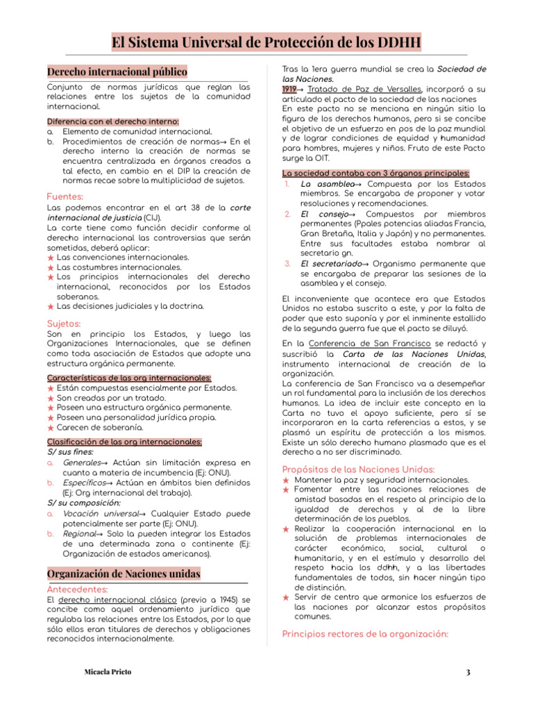 Sistema Universal de Protección DDHH | PDF | Naciones Unidas | Relaciones internacionales