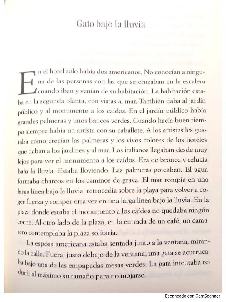 Gato Bajo La Lluvia. Hemingway. | PDF