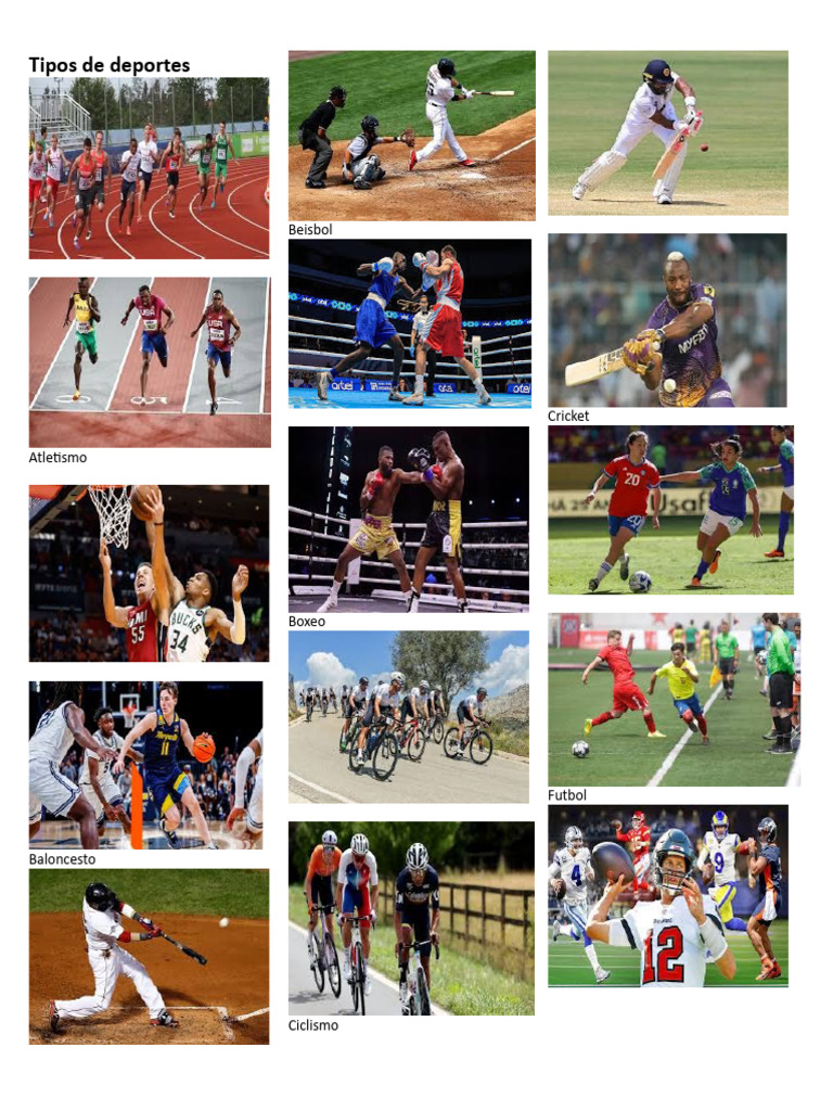 Tipos de Deportes | PDF