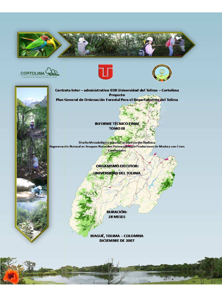 Plan General de Ordenacion Forestal Pgof Tomo 3 - 2007 | PDF | Science