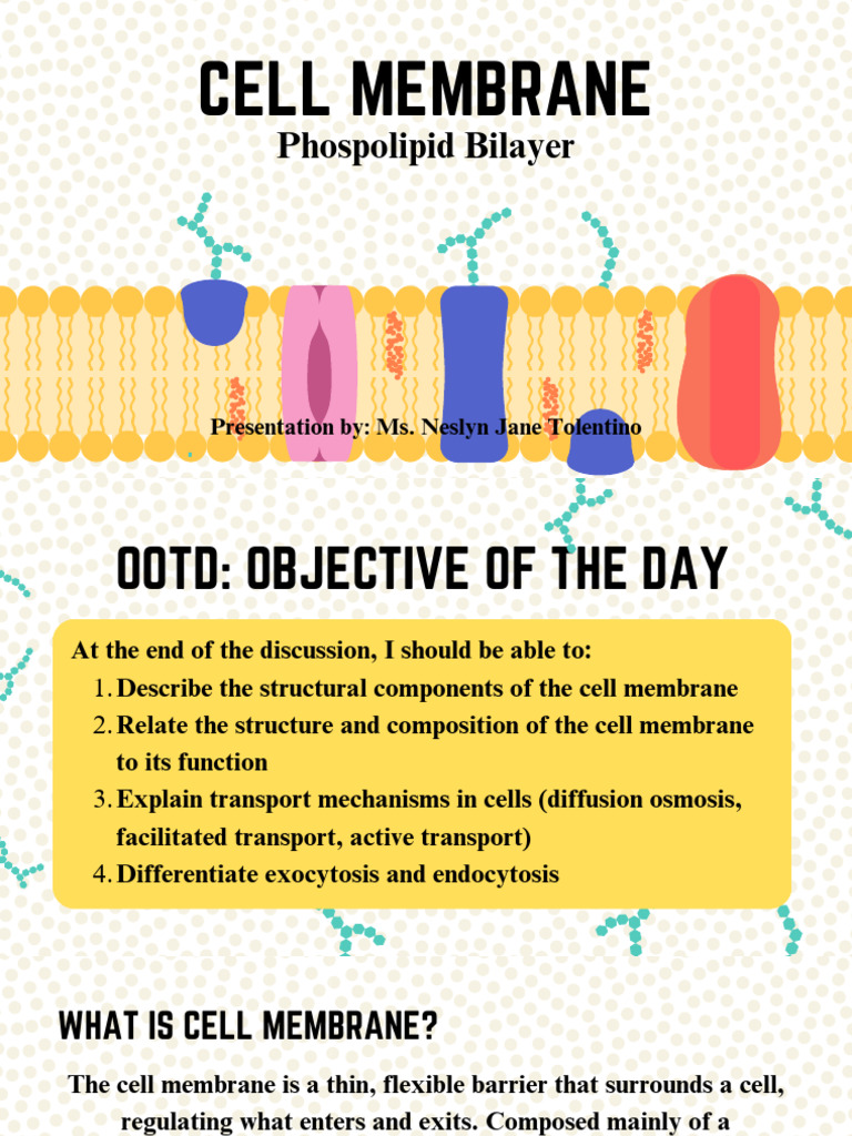 Lesson 7 Transport Mechanism | PDF | Cell Membrane | Osmosis