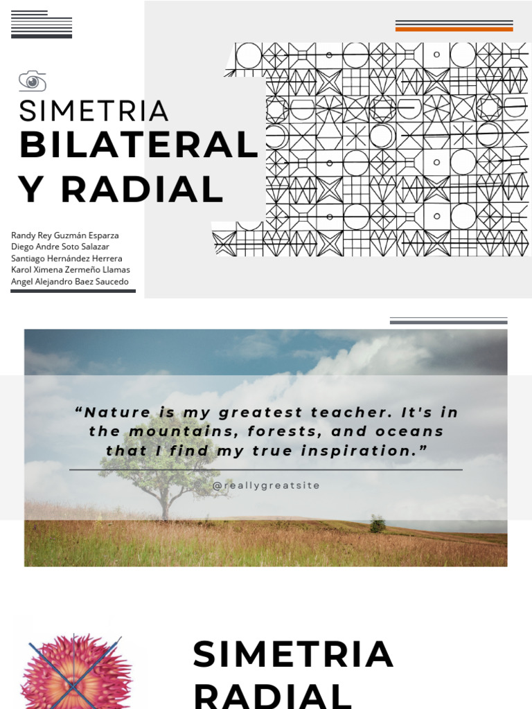Simetria Bilateral y Radial | PDF | Simetría