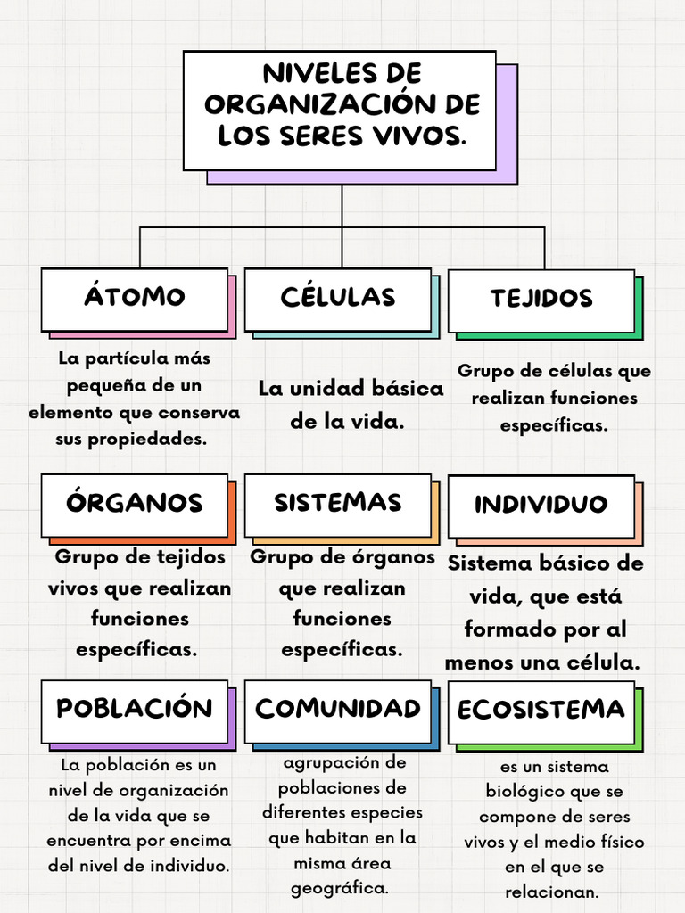 Nivel de Organización de Los Seres Vivos (Mapa Conceptual) | PDF