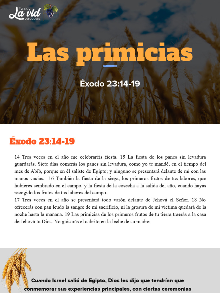 Las Primicias | PDF | Sucot | Diezmo