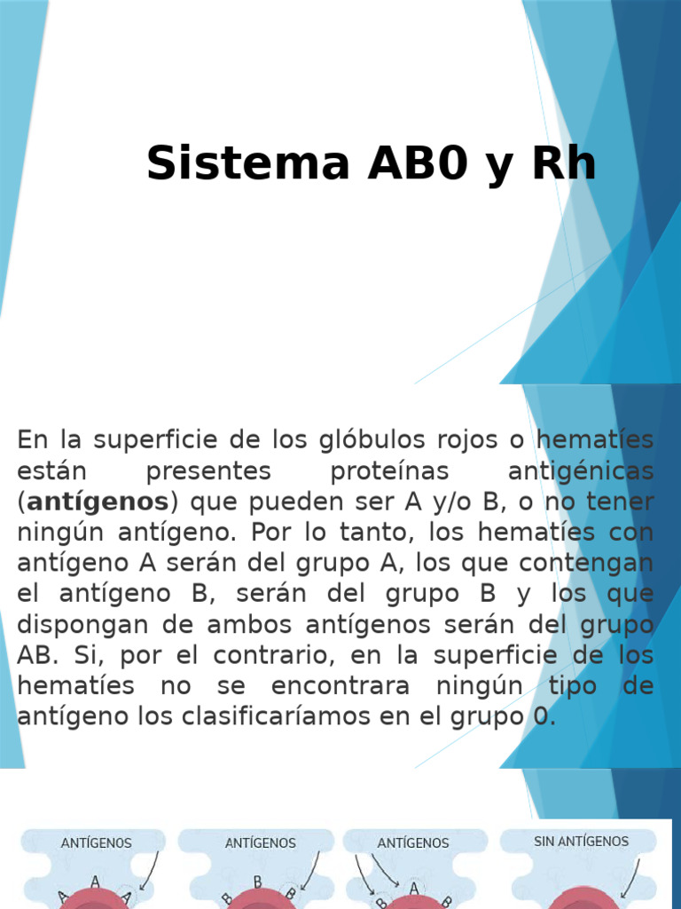 Grupos Sanguíneos: Sistema AB0 y Rh | PDF
