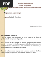 Ficha Técnica Del Pasto Guinea (Panicum Máximum Cv. Guinea Común) | PDF