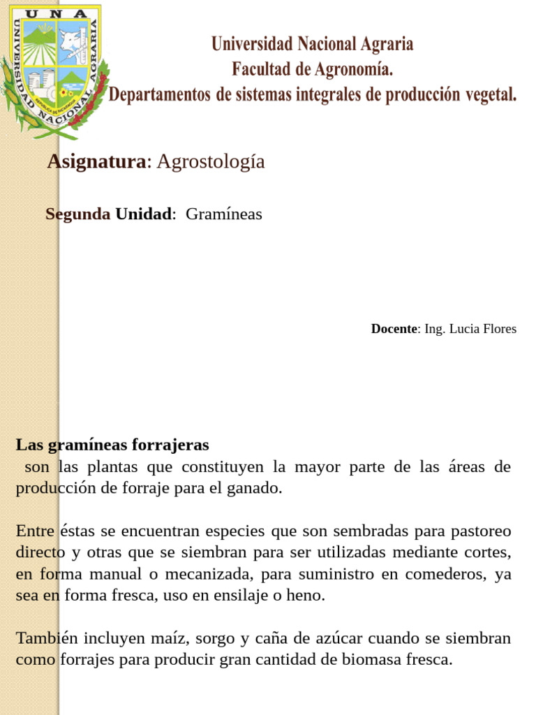 Gramíneas Forrajeras: Cultivo y Manejo | PDF | Pasto | Pasto