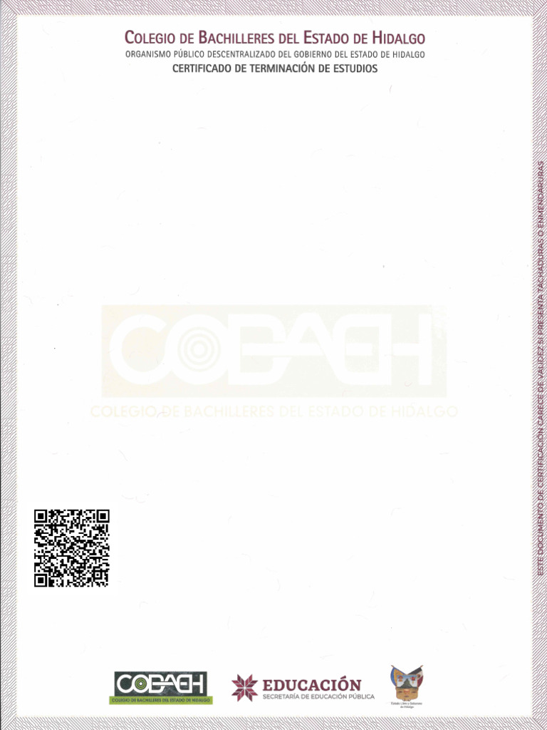 Perla Alejandra Lerma Bracho | PDF | Informática