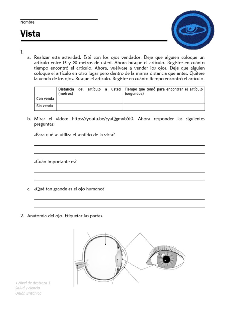 Guía Básica de Anatomía Ocular | PDF | Ojo humano | Percepción visual
