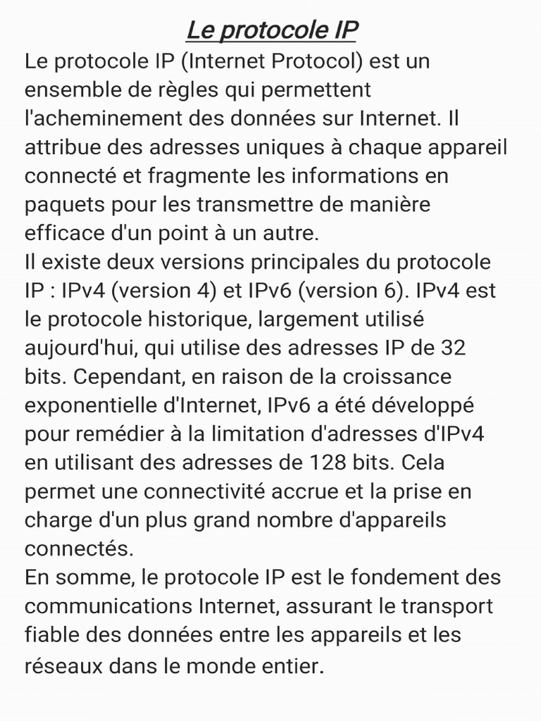 Protocole IP - 240115 - 132202 | PDF
