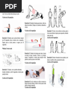 PNF - Kabat | PDF | Músculo esquelético | Neurociência