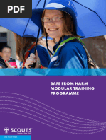 Safe from Harm Training Module 2 | PDF