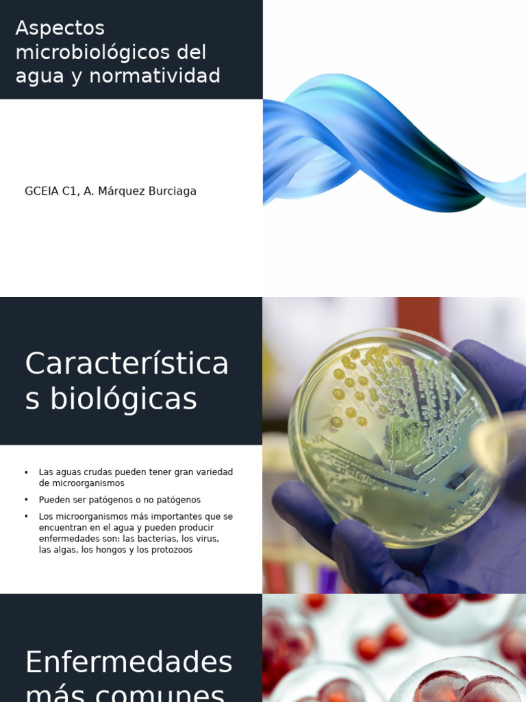 Aspectos Microbiológicos Del Agua y Normatividad | PDF | Microbiología