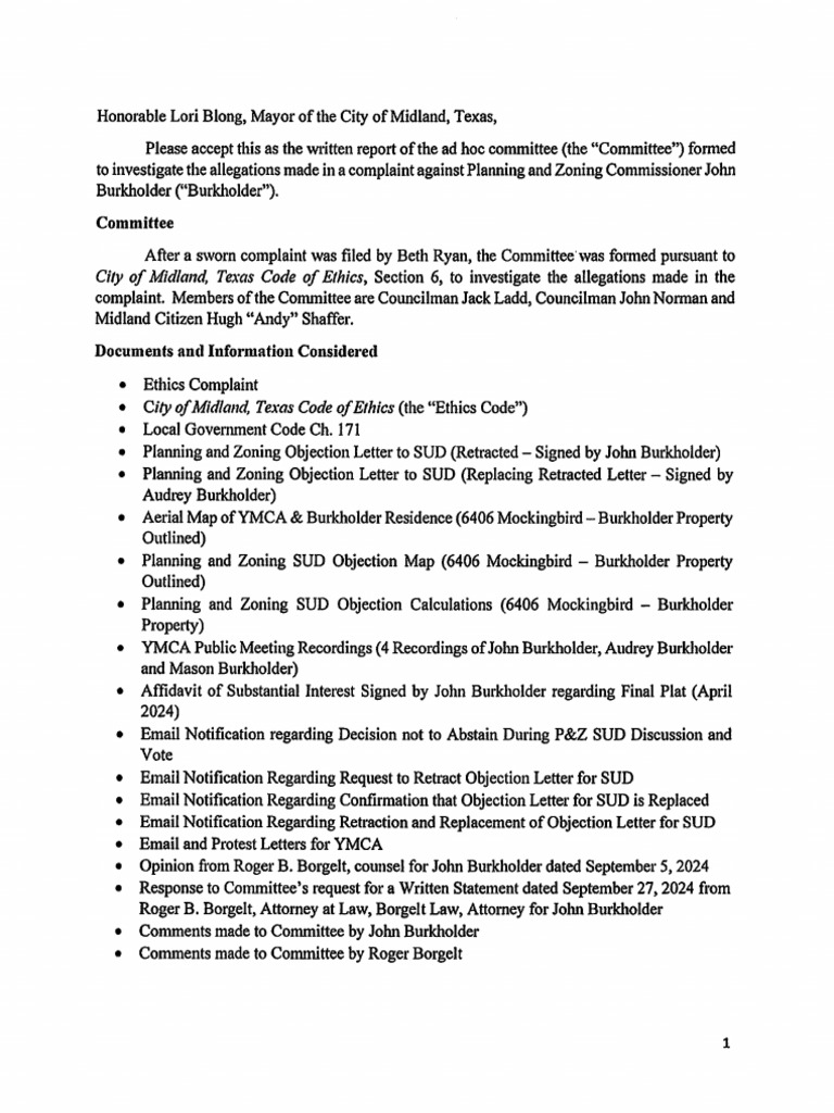 Ad-Hoc Committee Report | PDF