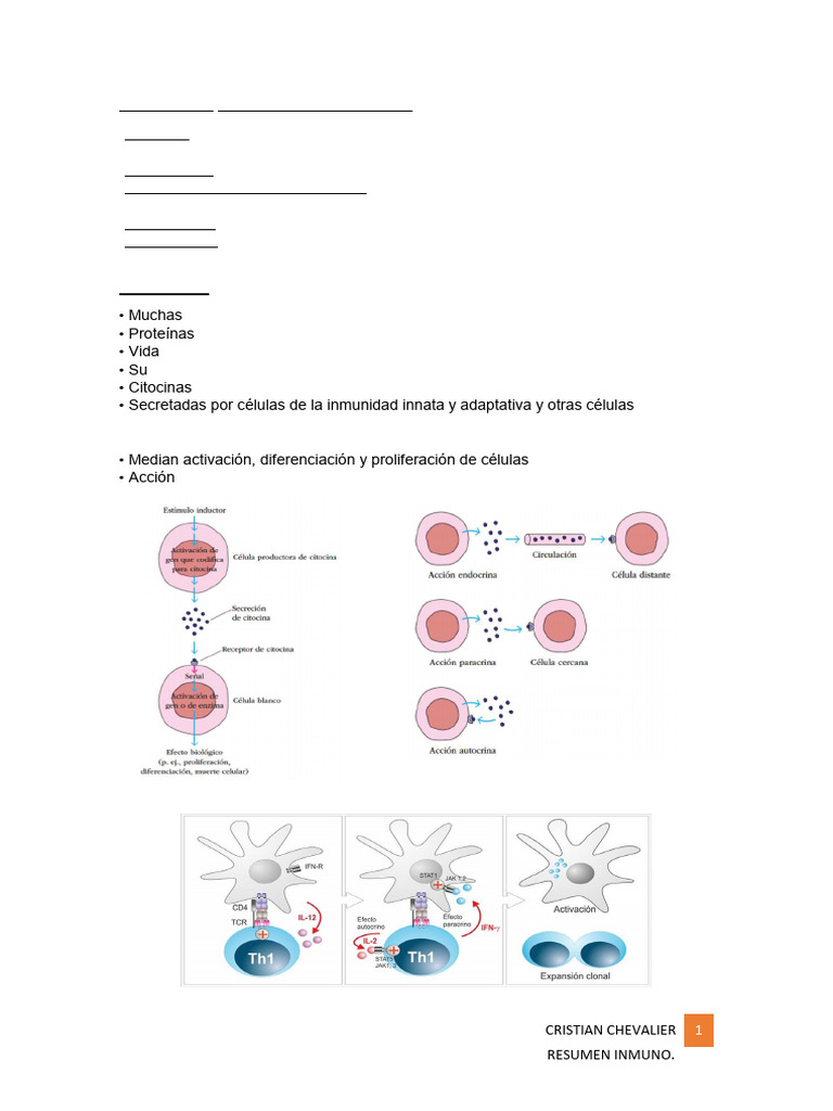Citocinas y Quimiocinas: Guía Rápida | PDF | Citocina | Transducción de ...