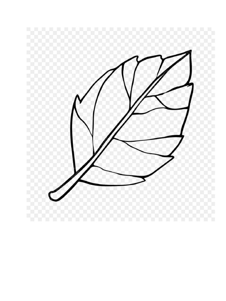 Daun | PDF