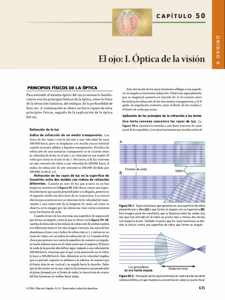 Optica de La Vision Cap. 51 | PDF | Ojo humano | Refracción