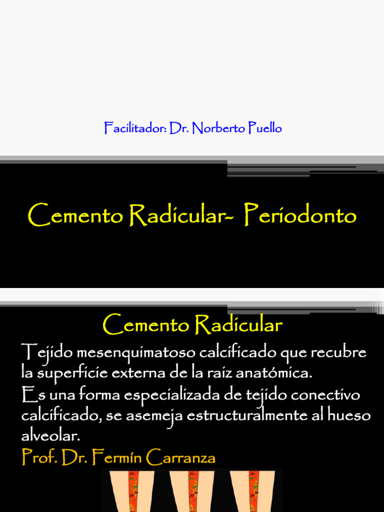 Cemento Radicular | PDF | Ramas de Odontología | Anatomia dental