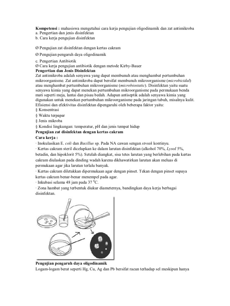 Zona Hambat Bakteri e | PDF