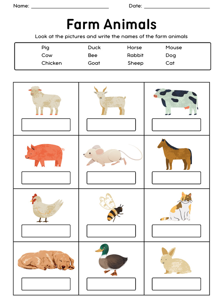 Farm Animal Identification Guide | PDF
