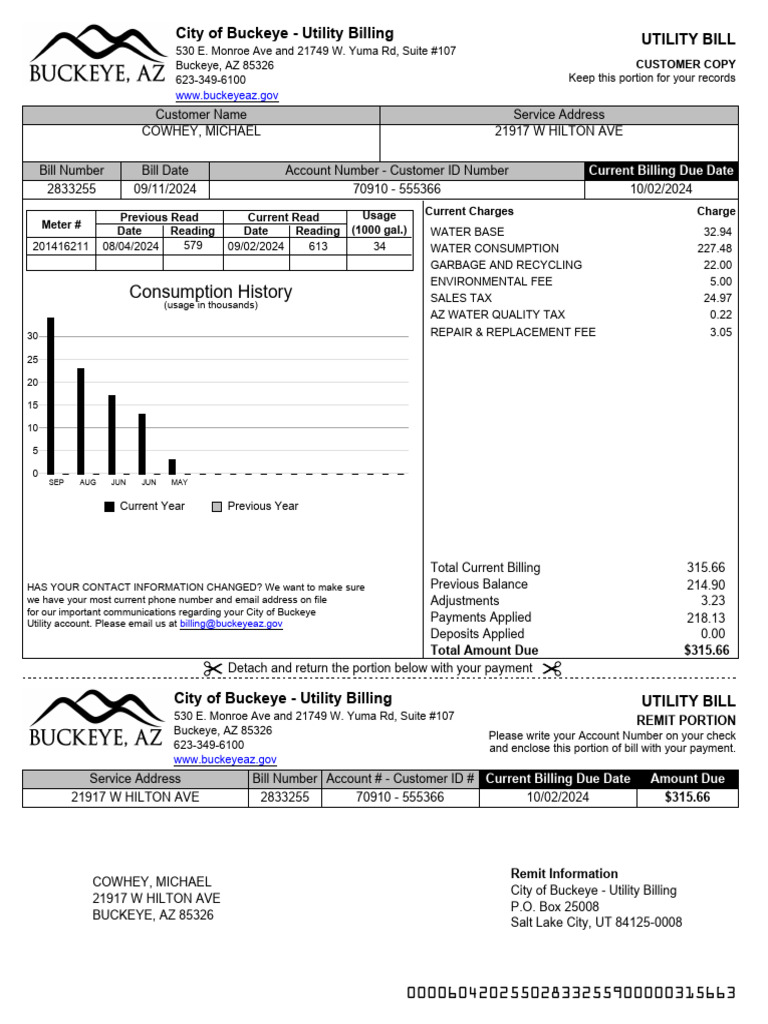 Consumption History: City of Buckeye - Utility Billing Utility Bill ...
