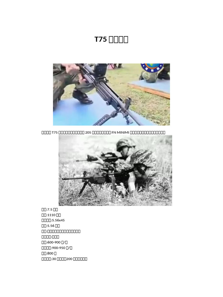 T75班用机枪 | PDF
