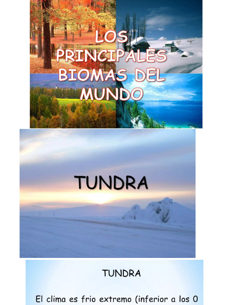 Biomas Del Mundo Tercero Bachillerato 2 | PDF