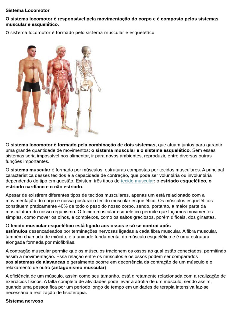 Sistema Locomotor E Nervoso Explicados Pdf Músculo Sistema Nervoso