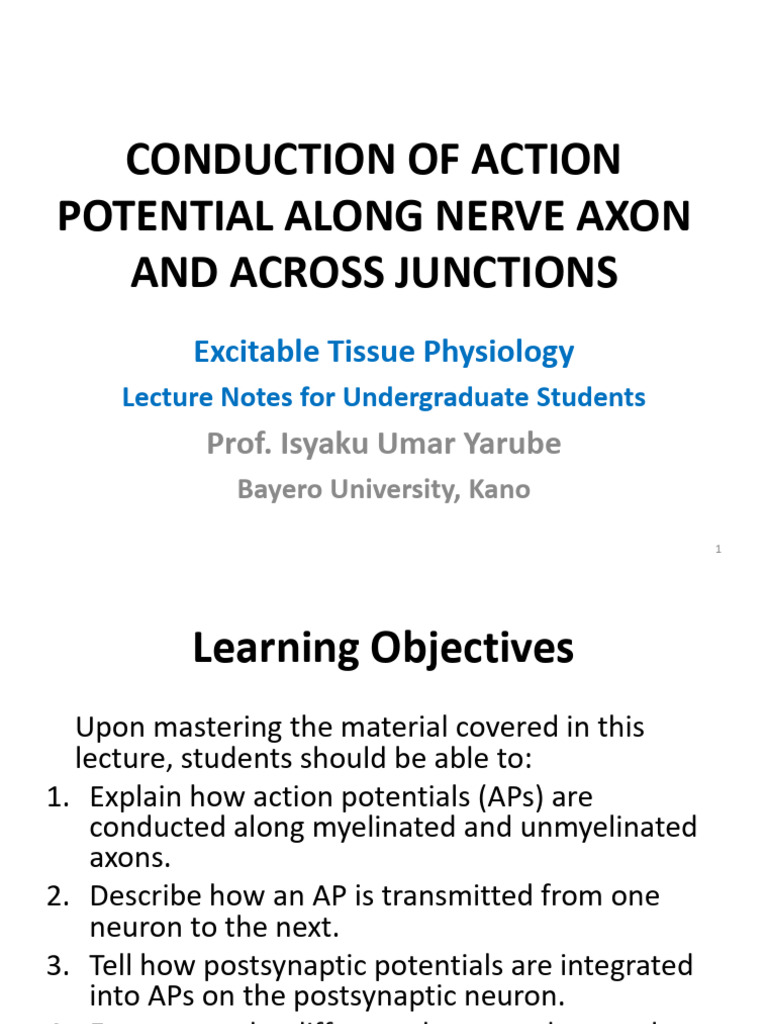 Conduction of Action Potential-2 | PDF | Chemical Synapse | Synapse