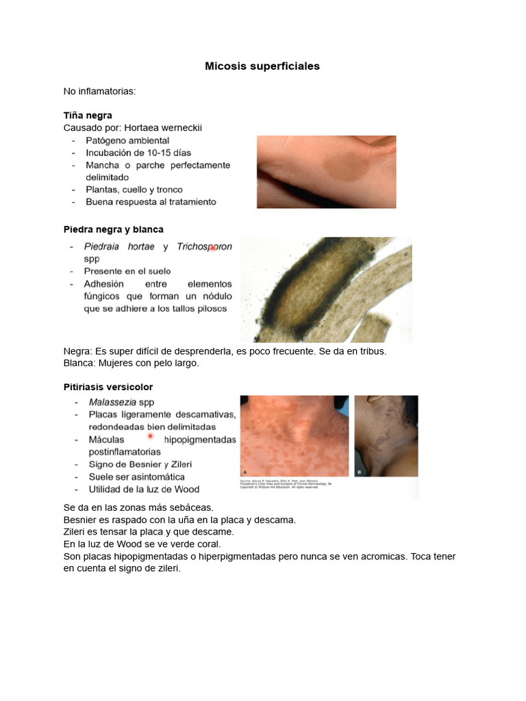 Micosis Superficiales: Tipos y Tratamientos | PDF | Especialidades ...