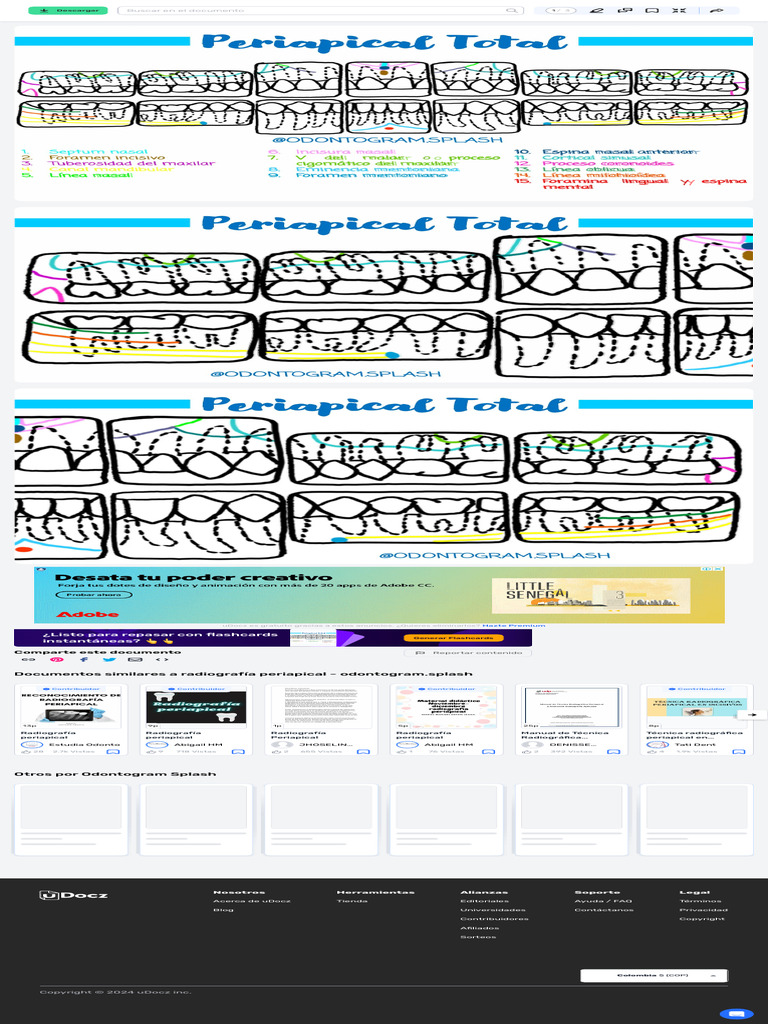 Radiografía Periapical - Odontogram - Splash Odontogram Splash Udocz ...