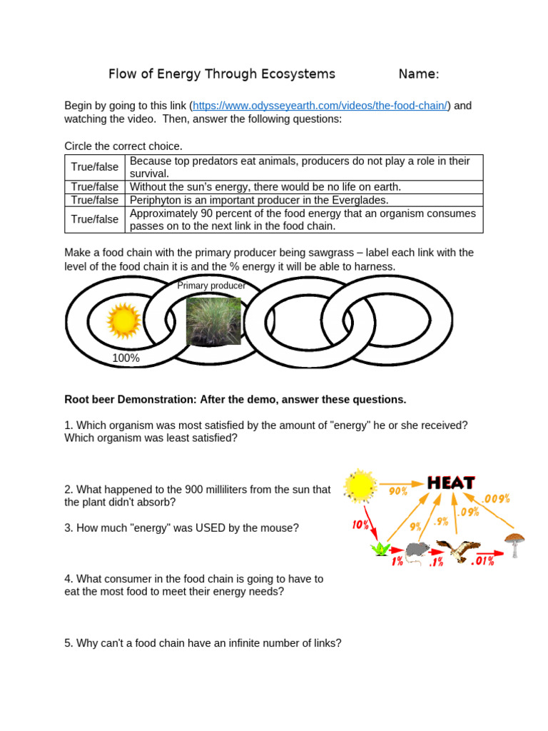 Flowof Energy Through Ecosystems Name | PDF | Food Web | Systems Ecology