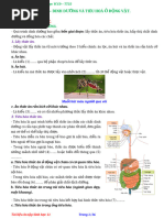 PHẦN II CÂU HỎI ĐÚNG SAI DINH DƯỠNG TIÊU HÓA Ở ĐỘNG VẬT-1724230083 | PDF