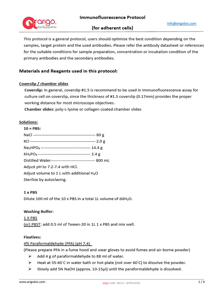 Immunofluorescence Protocol | PDF | Immunofluorescence | Staining