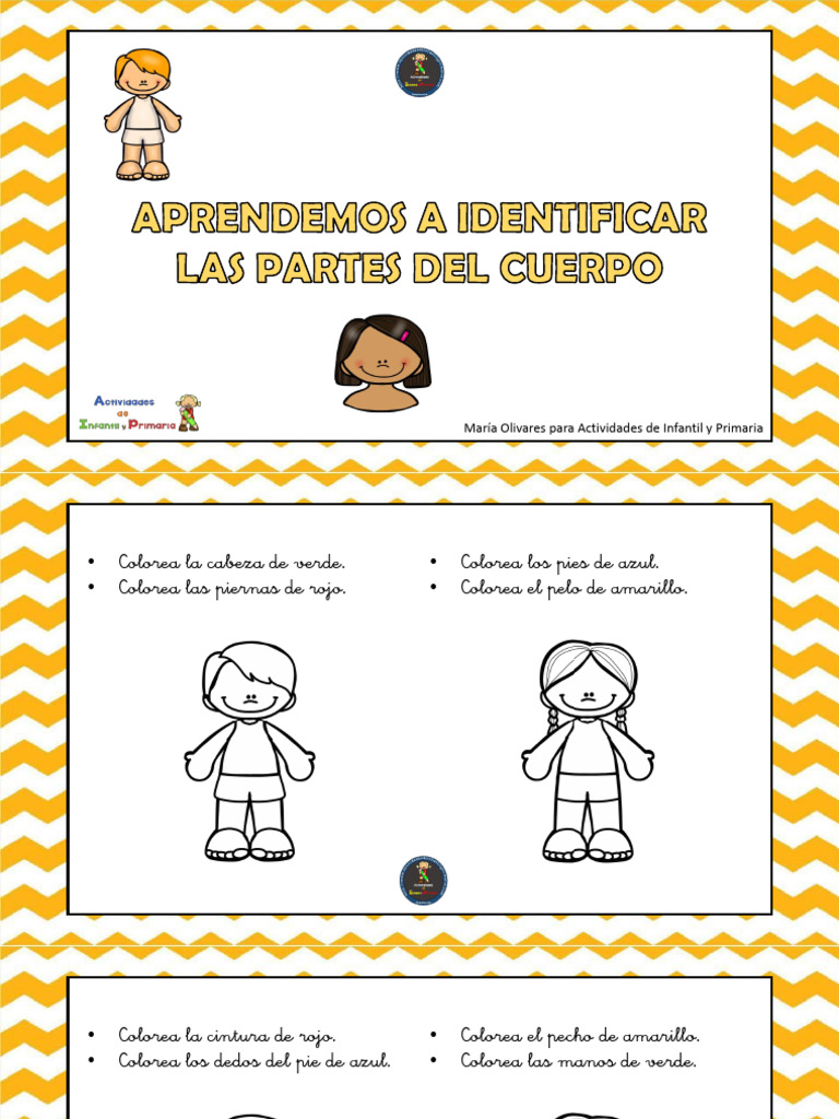 Identificar Partes Del Cuerpo Pdf
