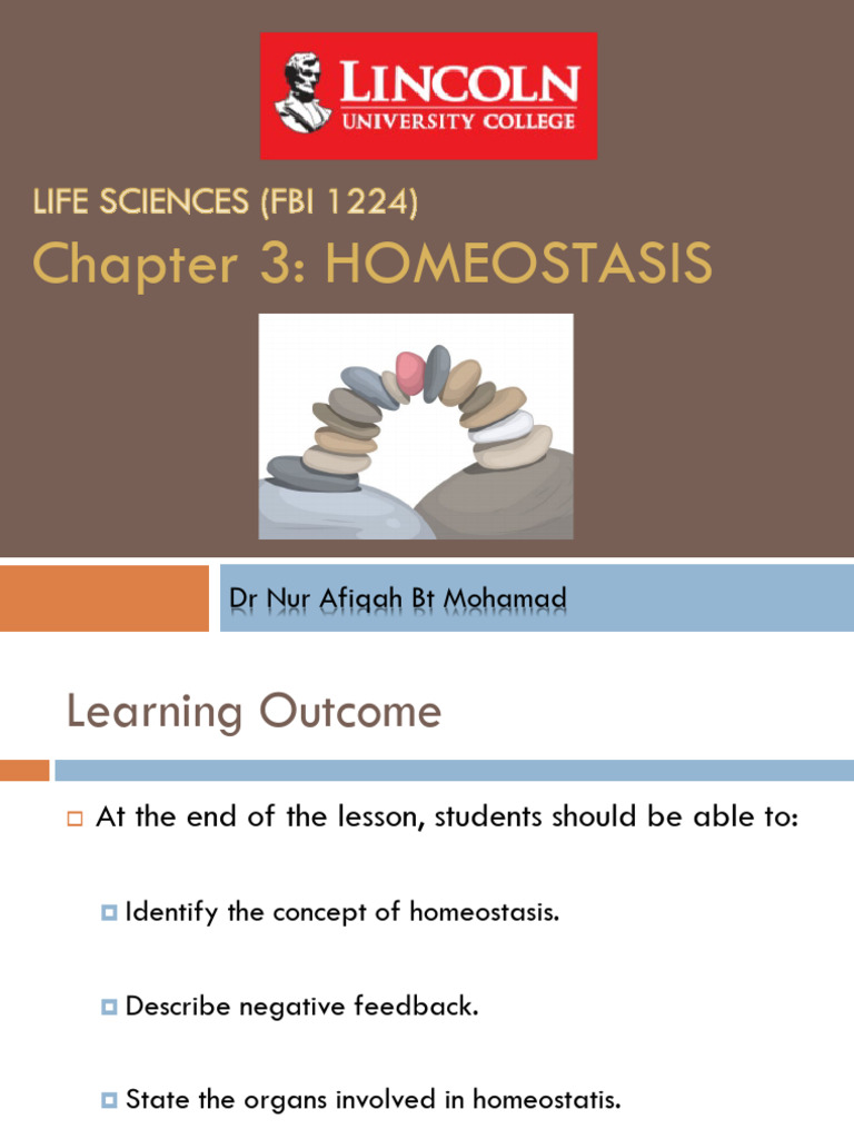 Homeostasis | PDF | Homeostasis | Stimulus (Physiology)