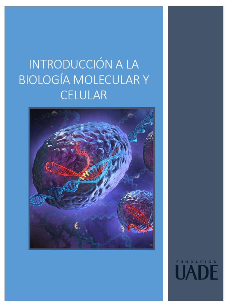 Resumen Ibmc Completo | PDF | Isómero | Carbohidratos